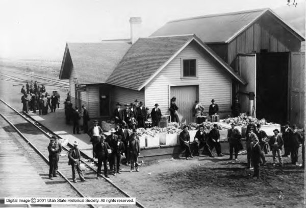 Scofield Mining Disaster – People's History Utah